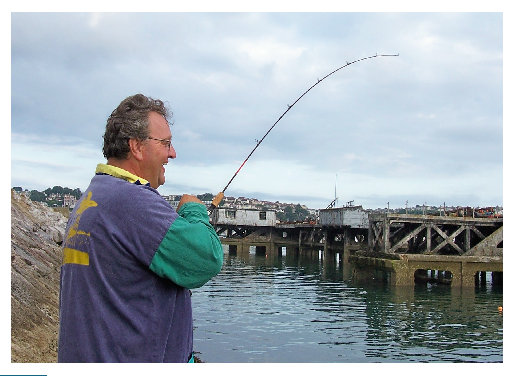 Home [seafishing4fun.org]